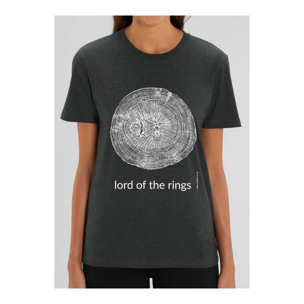 Visibull Lord of the rings t-shirt (Dark Heather Grey) – F.R. Jones & Son